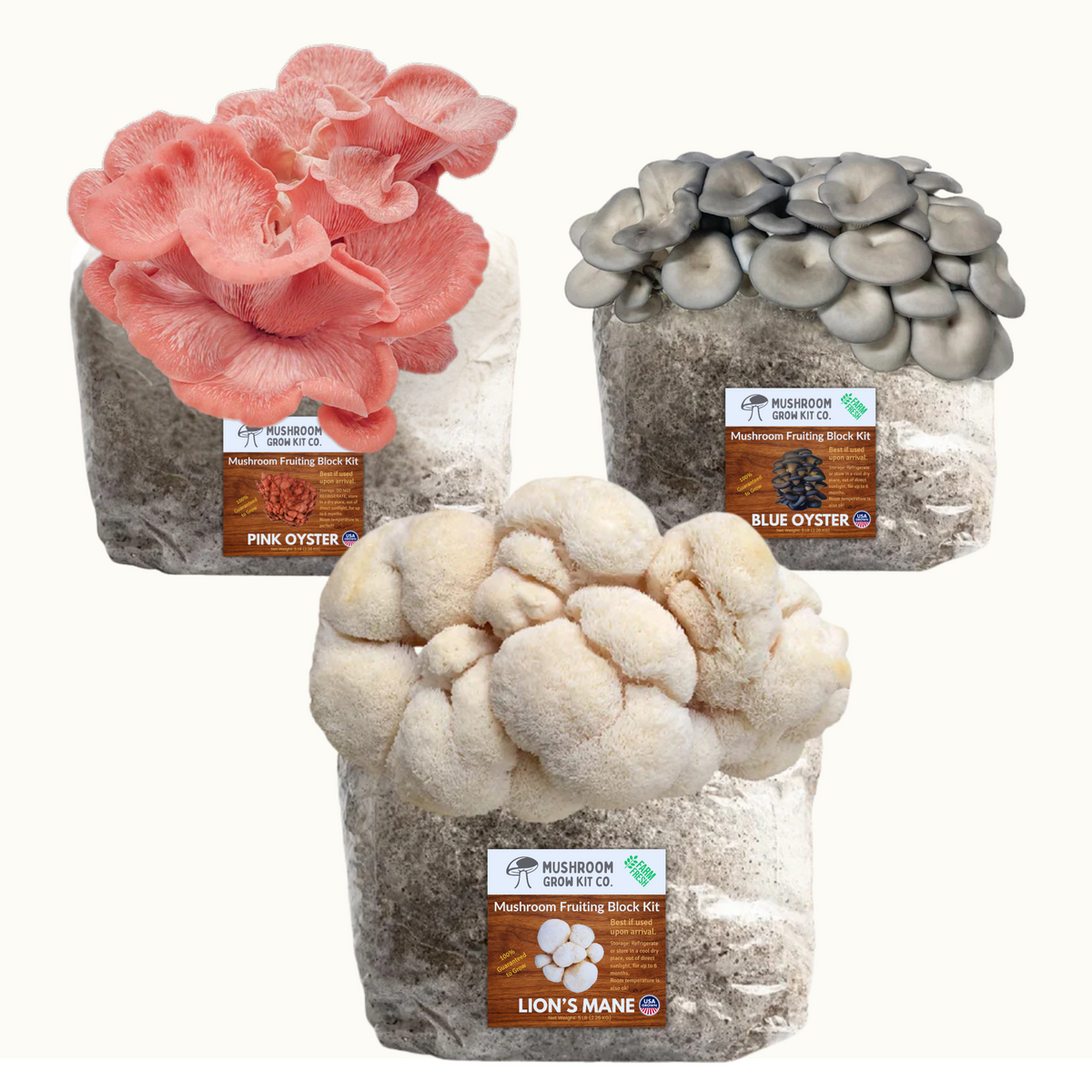 3 Pack - Lion's Mane, Pink, and Blue Oyster Mushroom Grow Kit Fruiting ...