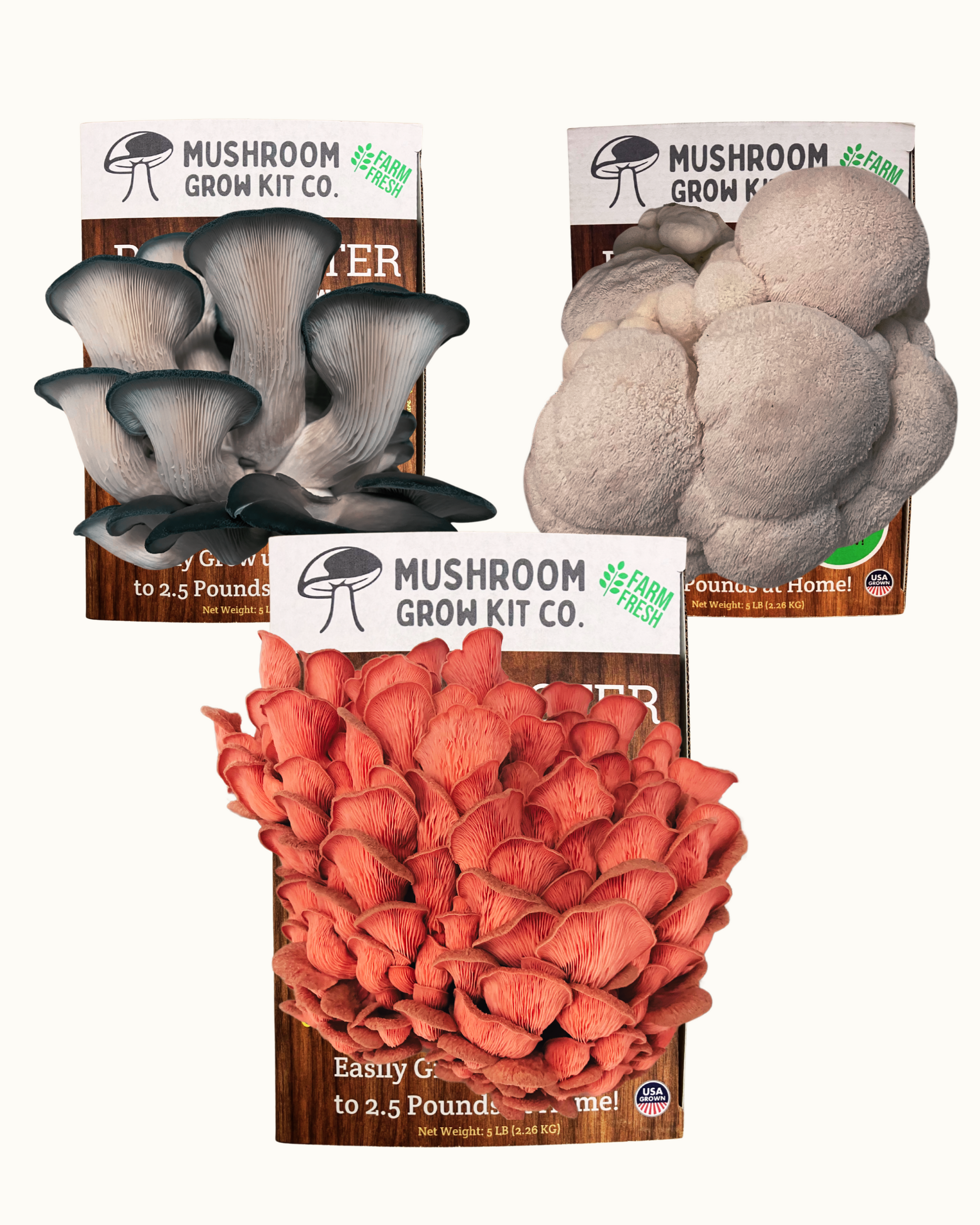 3 Pack - Lion's Mane, Pink, and Blue Oyster Mushroom Growing Kit - 15 ...