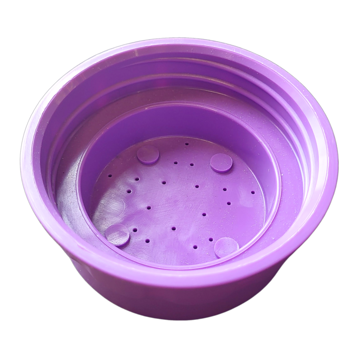 Bee Bar Lid — Specialty Food Source