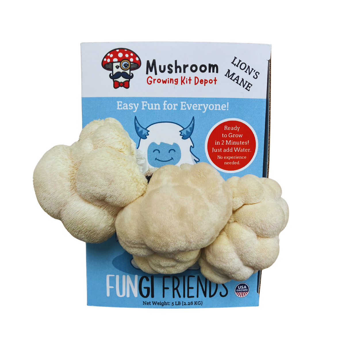 Betty the Yeti - Lion's Mane Mushroom Grow Kit - 5 LBS (with box ...