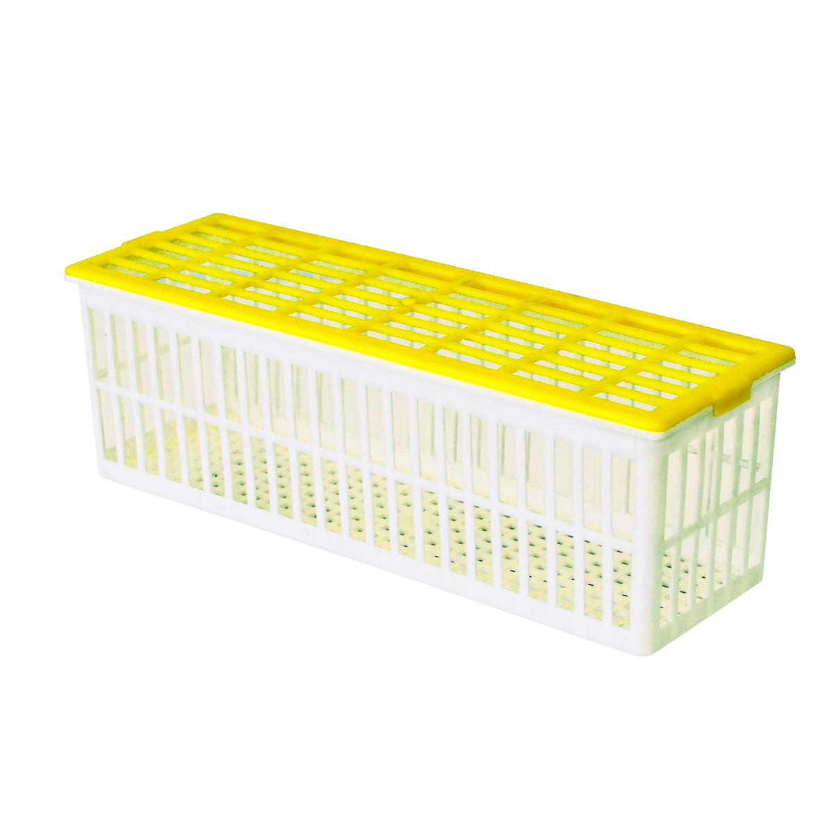 Egg Basket - 6 Eggs — Specialty Food Source