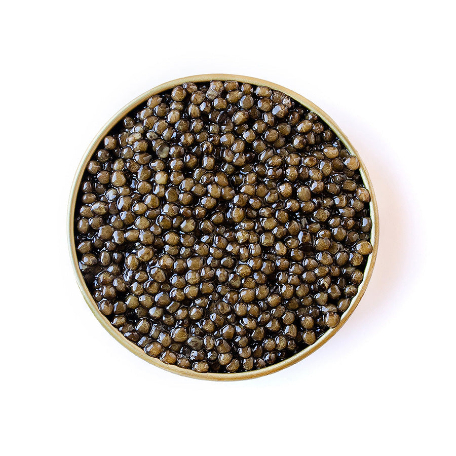 Reserve Polish Ossetra Caviar — Specialty Food Source
