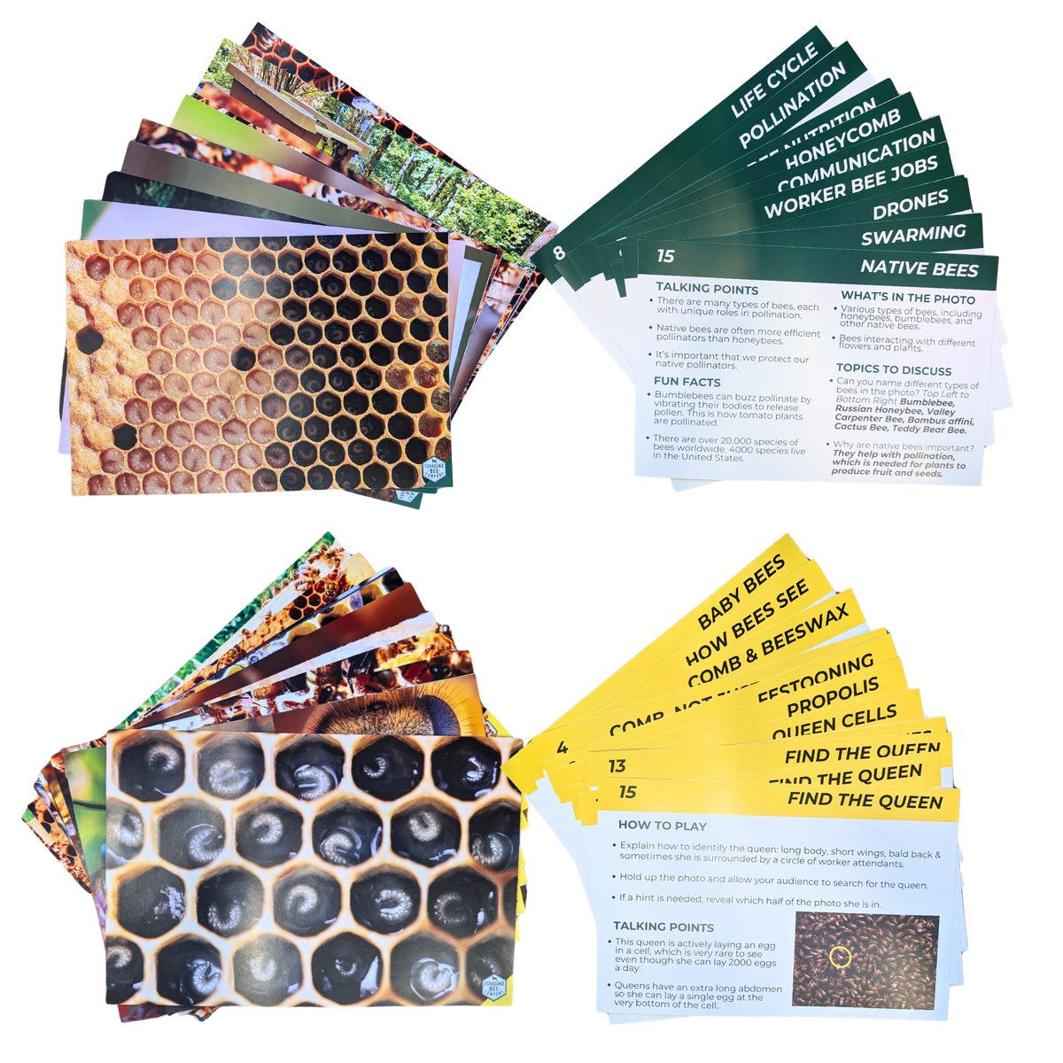 Educational Beekeeping Cards — Specialty Food Source