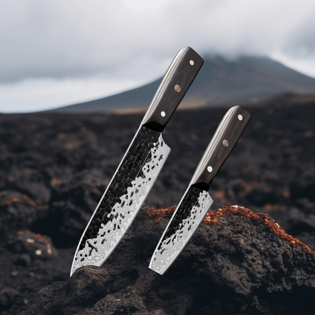 ONYX II Essential Bundle — Specialty Food Source