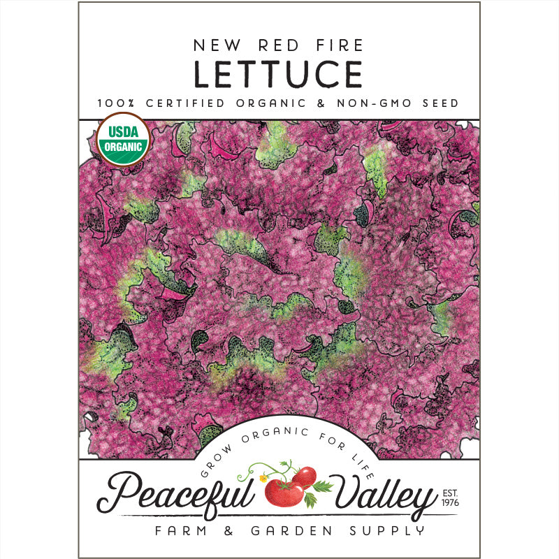 New Red Fire Lettuce Seeds (Organic) — Specialty Food Source