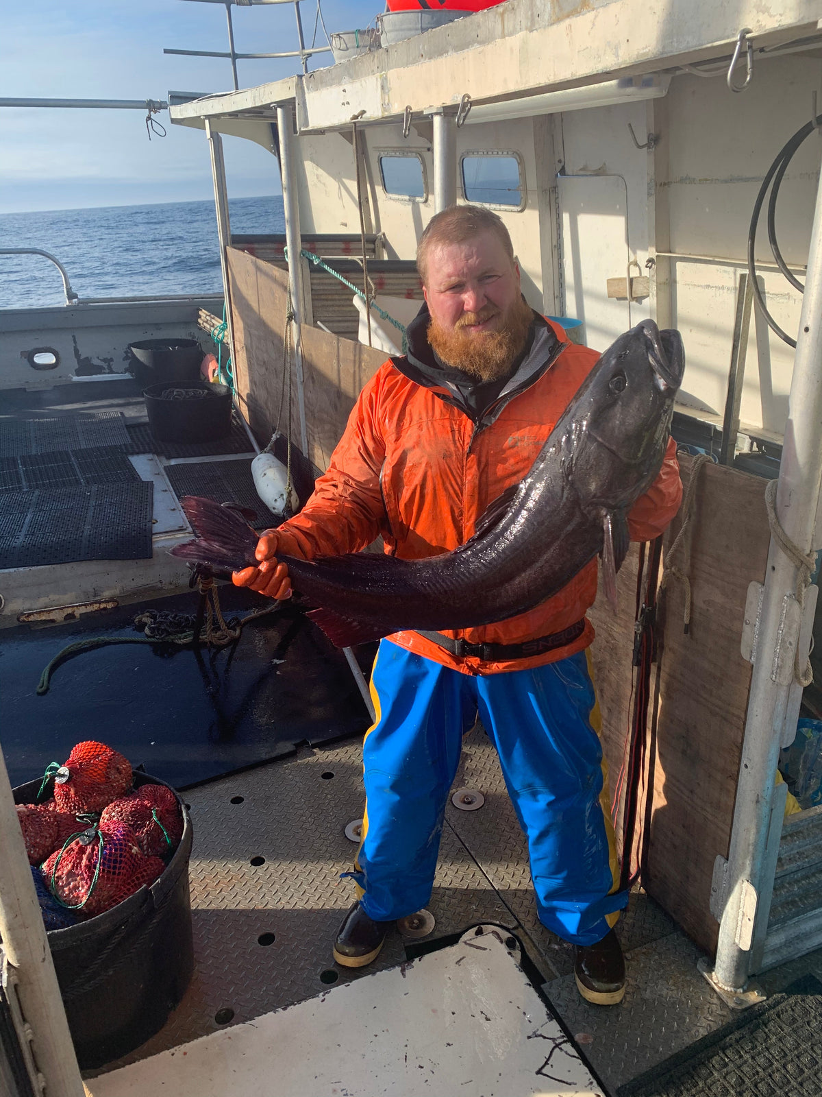 Wild Alaskan Black Cod Share - 20 lbs. — Specialty Food Source