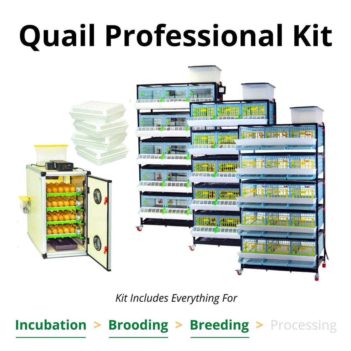 Quail Professional Kit — Specialty Food Source