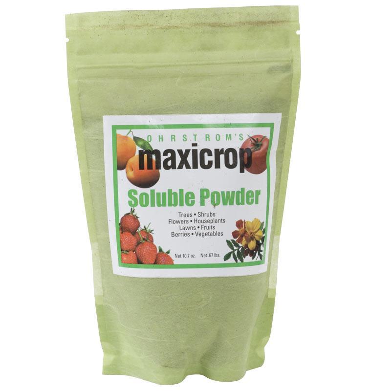 Maxicrop Kelp Extract (10.7 Oz) — Specialty Food Source