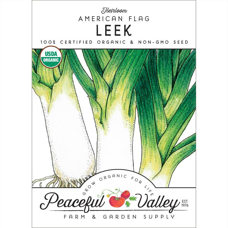 American Flag Leek Seeds (Organic) — Specialty Food Source