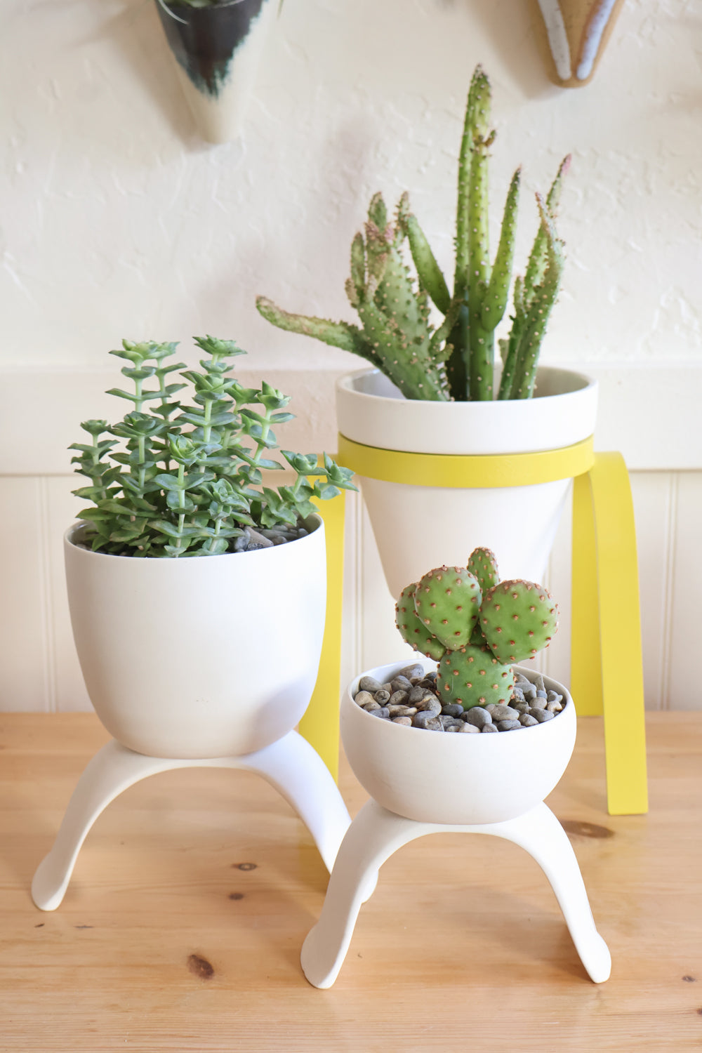 Ceramic Raised Plant Pot — Specialty Food Source
