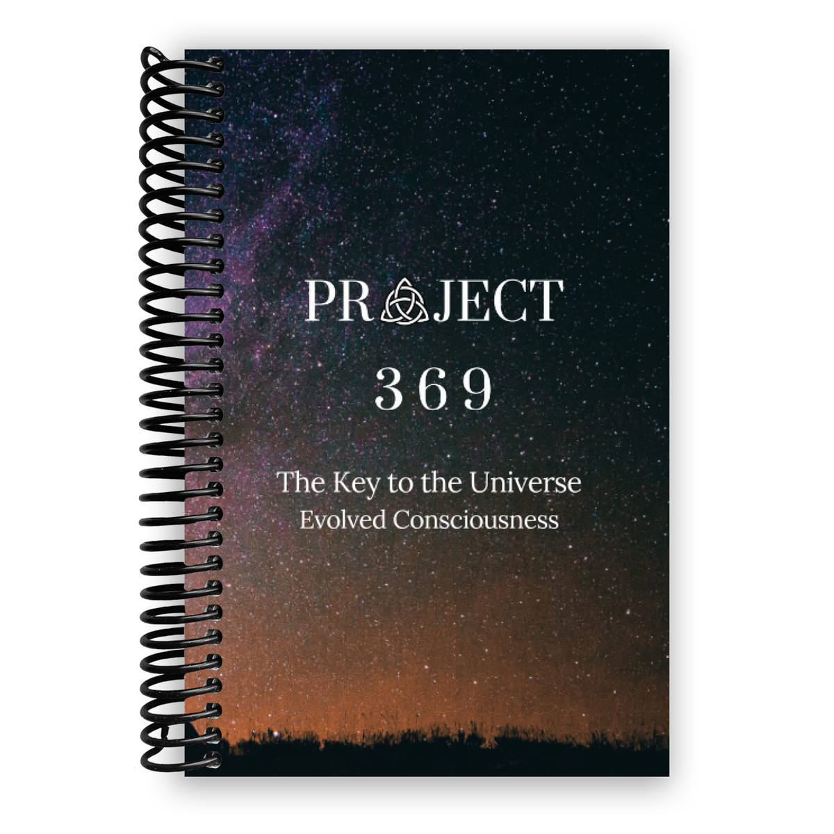 Project 369: The Key To The Universe (Spiral Bound) — Specialty Food Source