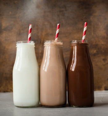 15g Protein SHAKES Variety Pack — Specialty Food Source