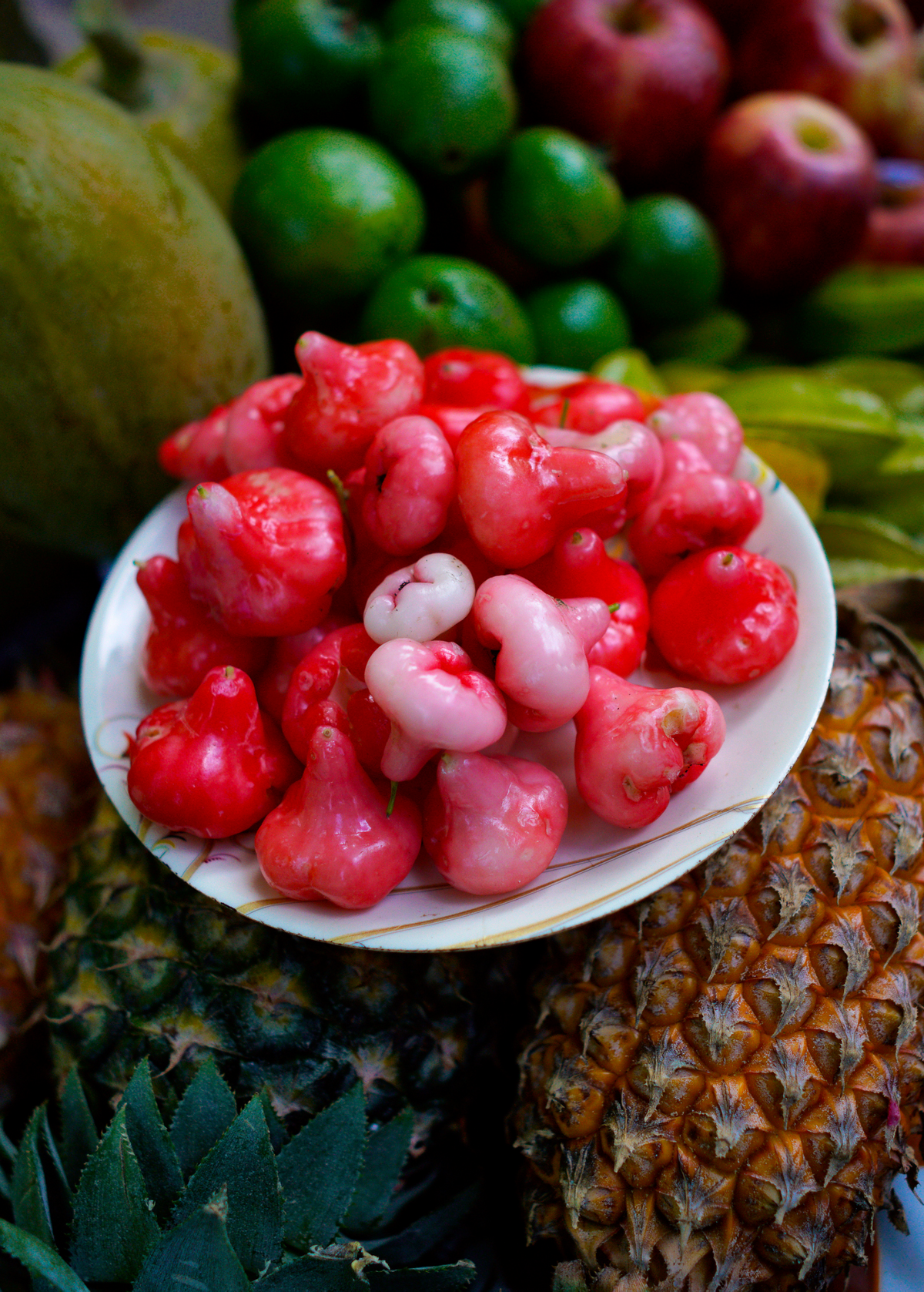 Wax Jambu, Red (Syzygium samarangense) — Specialty Food Source