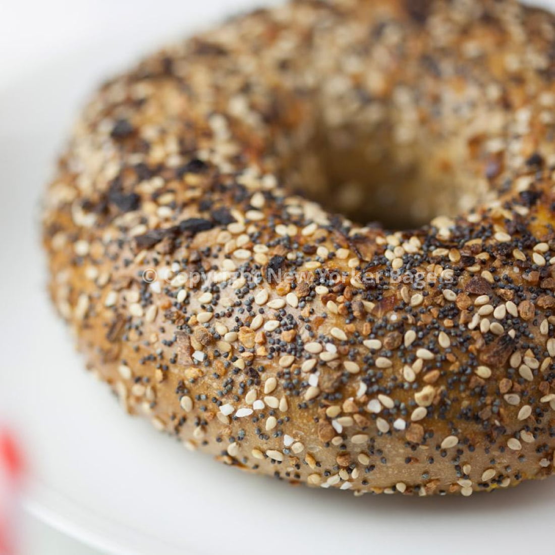 Whole Wheat Everything Bagel — Specialty Food Source